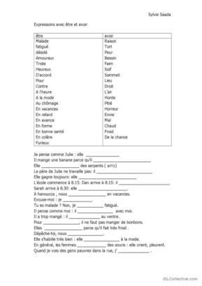 46 Verbe AVOIR Français FLE fiches pedagogiques pdf doc