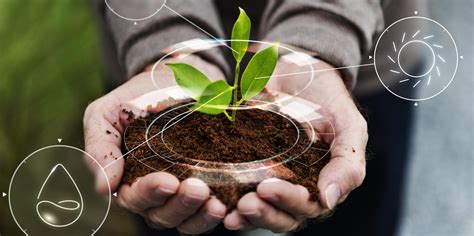 Agricoltura sostenibile cos è e come promuoverla