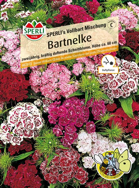 Sperli Bartnelke Sperlis Vollbart Mischung Mehrfarbig Kaufen Bei OBI