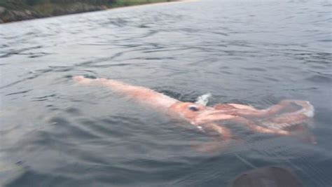 Giant Squids Find Out About Their Characteristics And Much More