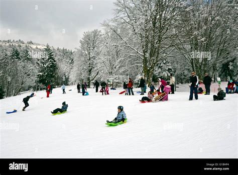 France Haute Saone La Planche Des Belles Filles Ski Resort Toboggan