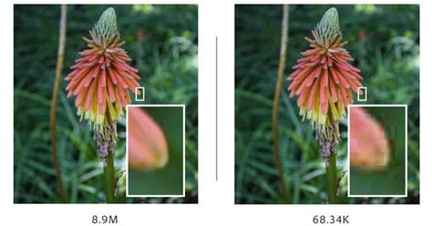 systematic explication on image compression