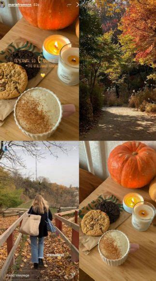 40 Autumn Collage Ideas Patchwork Of Fall S Beauty Country Walk
