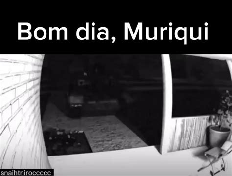 Cortinas ao Contrário Mateus on Twitter Oiiiiiiiiiiiii