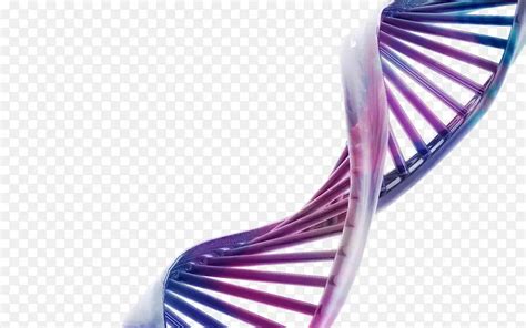 Dna Png Ypjbwnry