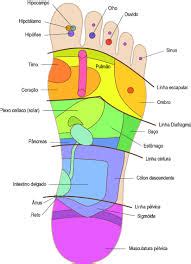 Curso Online De Reflexologia Podal