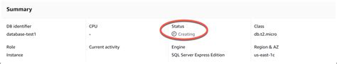 Creating A Microsoft Sql Server Db Instance And Connecting To It Amazon Relational Database