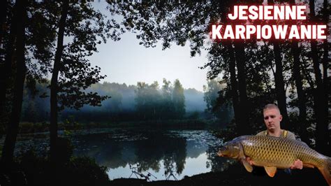 Jesienne karpie z płycizny YouTube
