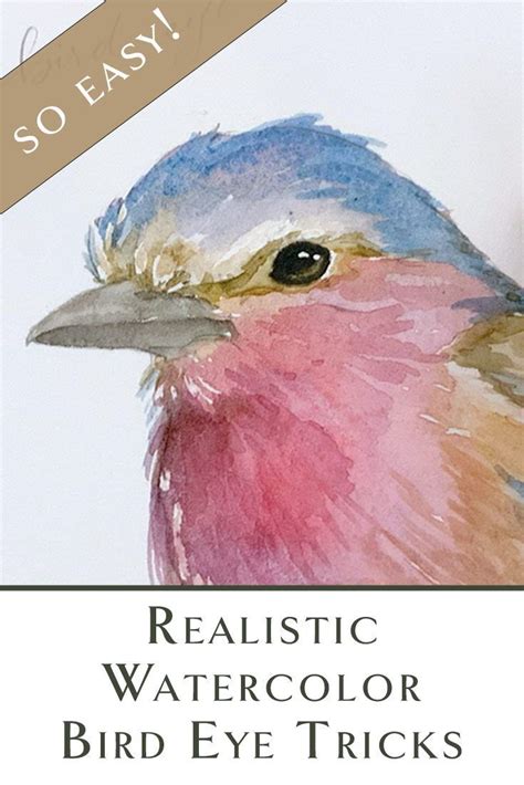 How To Paint A Realistic Bird Eye Beginner Tips For Expert Level