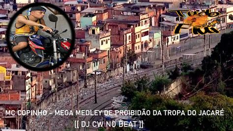 MC COPINHO MEDLEY DE PROIBIDÃO DA TROPA DA LINHA DO JACARÉ DJ CW