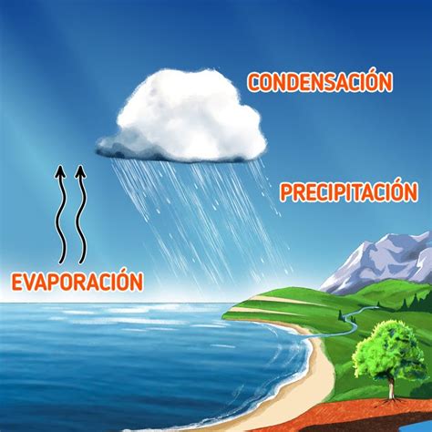 Tipos De Precipitaciones Ideas En 5 Minutos