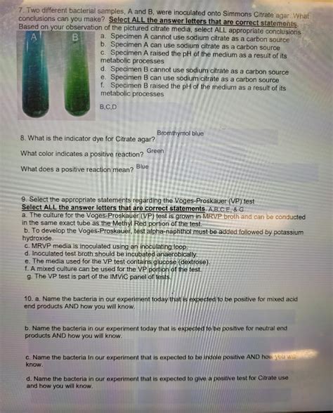 Solved 7 Two Different Bacterial Samples A And B Were Chegg