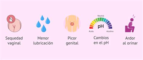 Principales síntomas de la vaginitis atrófica