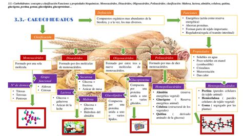 Mapa Conceptual De Los Carbohidratos Y Su Clasificacion Most