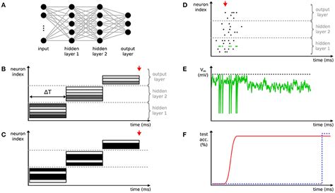 frontiers deep learning with spiking neurons opportunities and challenges