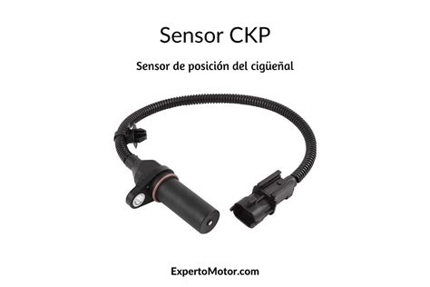 Sensor CKP sensor de posición del cigüeñal ExpertoMotor