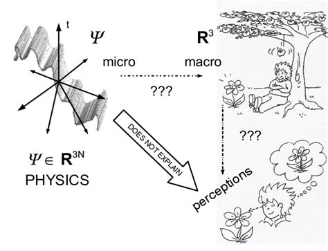 2 explanation in quantum theories about the wave function download scientific diagram