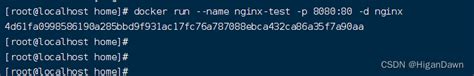 docker nginx卸载、安装、配置、挂载 docker删除nginx csdn博客