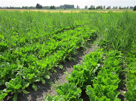 Se amplía el plazo para solicitar las ayudas agroambientales y de la