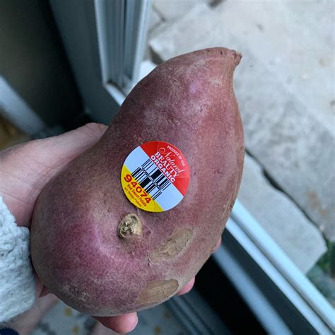 Natural Beauty Organic Red Sweet Potato Reviews Abillion