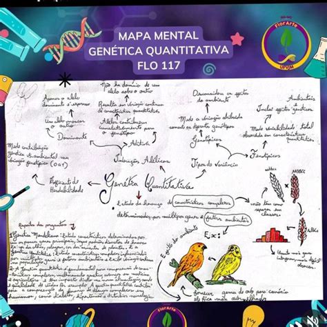 Mapa Mental Gen Tica Quantitativa