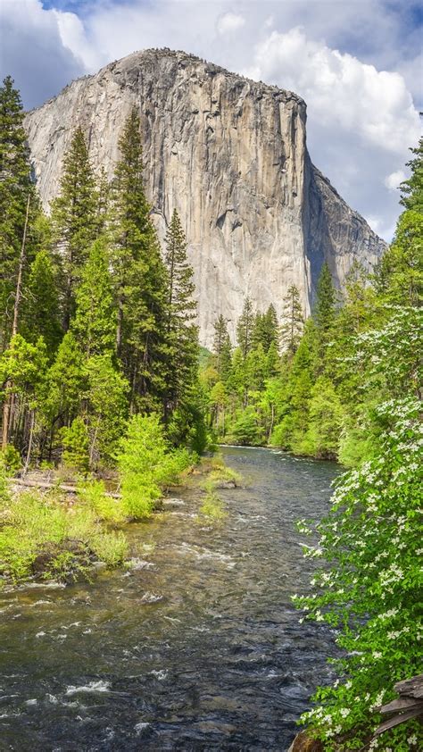 Góra El Capitan w Parku Narodowym Yosemite Tapeta na telefon