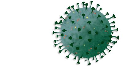 Medidas Preventivas Del Coronavirus Sars Cov Hospital Cl Nic Barcelona