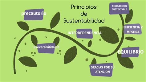 Principios De Sustentabilidad By Citlaly Romero On Prezi