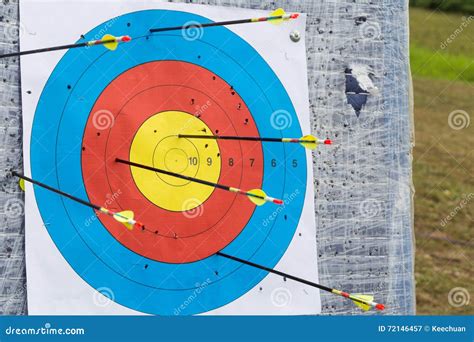 Closeup On Outdoor Archery Target Board With Arrows Stock Image Image