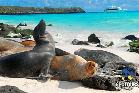 Islas Galápagos Geotours Adventure Travel Tour Agency in Baños