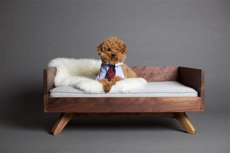 10 Camas Para Perros Realmente Originales Y Coquetas