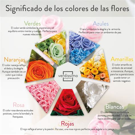 El significado de las rosas según su color Verdissimo