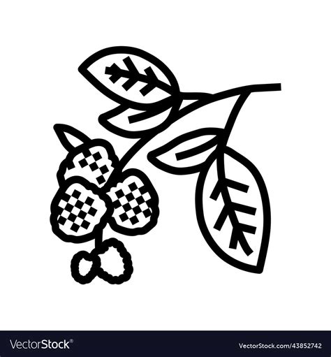 Branch Plant Blackberry Line Icon Royalty Free Vector Image