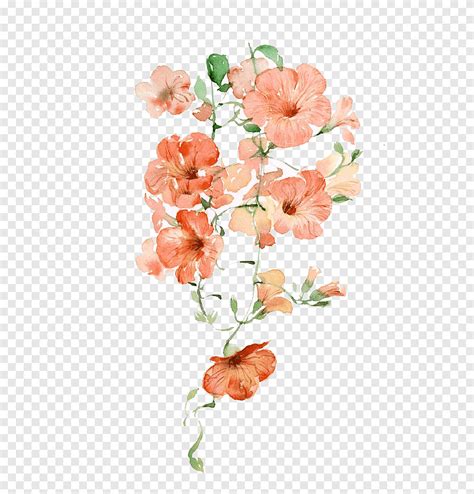 Flores De Acuarela Flores Rosadas Hoja Verde Png PNGEgg