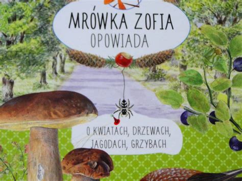 Książki o lesie 7 wspaniałych propozycji Bajki Gry Zabawy edukacyjne