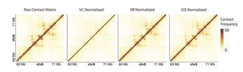 Demystifying Hi C Data Normalization A Guide For Genomic Researchers