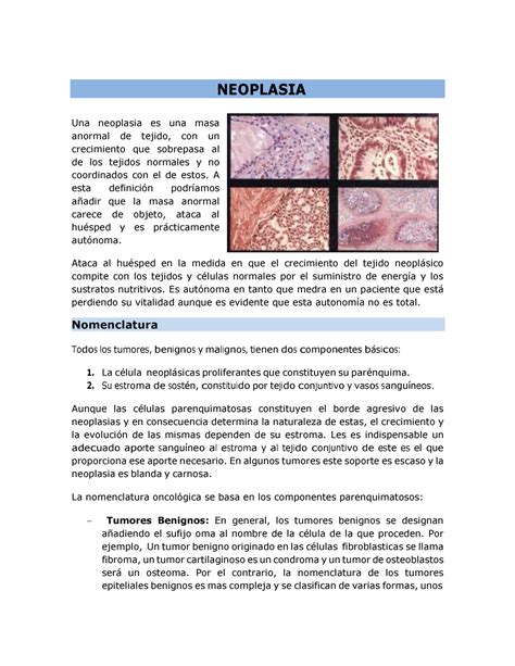 Neoplasias Resumen Patologia Estructural Y Funcional Una Neoplasia