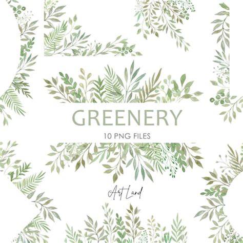 Watercolor Greenery Frames Green Leaves Borders Greenery Etsy