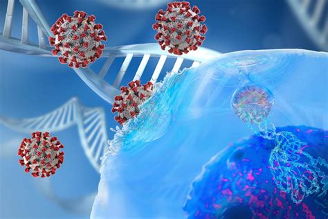 Severity Of COVID 19 May Depend On Your Individual Genetic Variation In