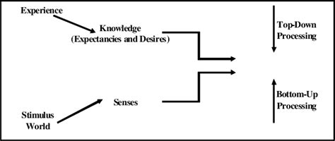 bottom up and top down process and the unitization download scientific diagram