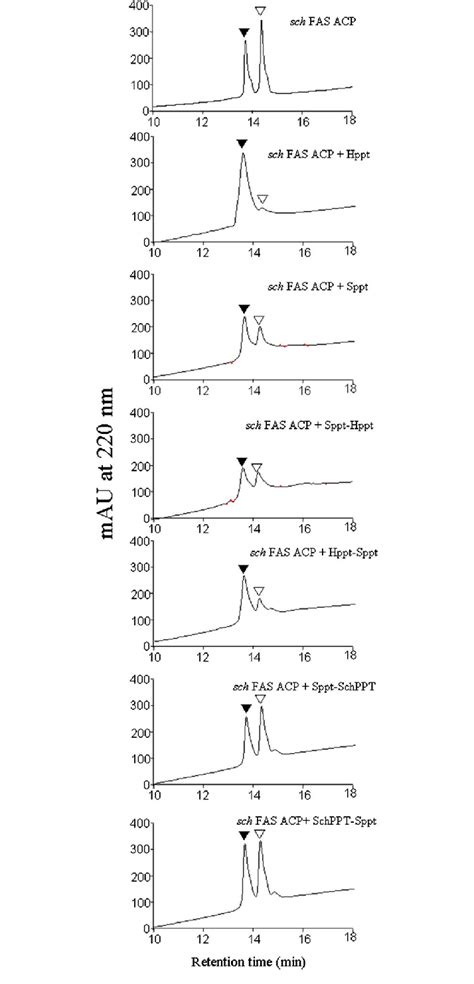 HPLC Analysis Of Phosphopantetheinylation Of Sch FAS ACP With PPTases