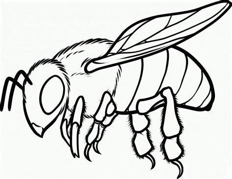 Desenho De Abelha Para Colorir