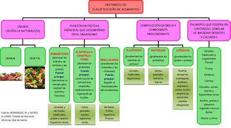 Esquema Con La Clasificaci N De Los Alimentos Para Ampliar Informaci N