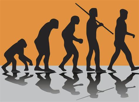 Homo Wird Im Office Genagelt Telegraph