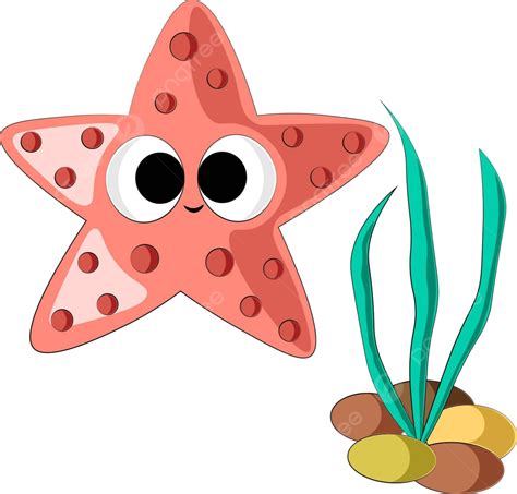 Linda Estrella De Mar De Dibujos Animados Dibujar Ilustración En Color