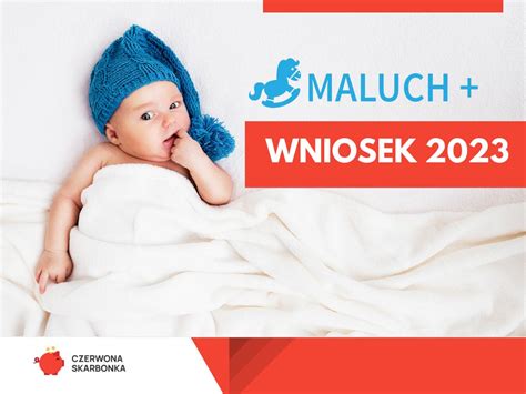 300 plus w 2024 roku jak i kiedy złożyć wniosek