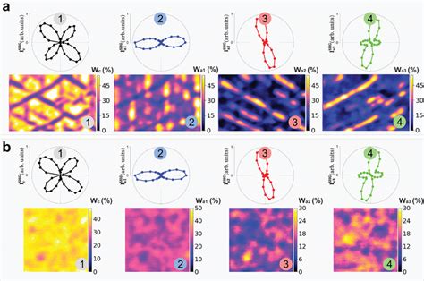 application on non‐negative matrix factorization nmf method to download scientific diagram