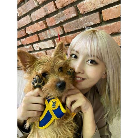 Hirai Momo Image Asiachan Kpop Image Board