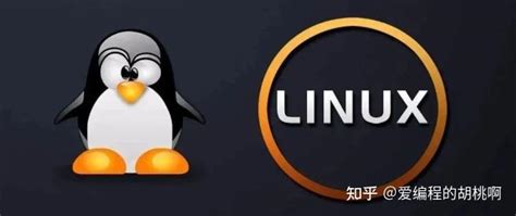 linux 程序编译过程详解 知乎