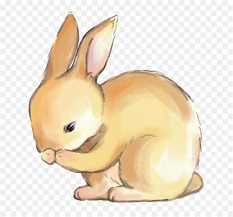 Hand Drawn Rabbit Png Rabbit Hand Drawing Png Hd Transparent Png Vhv